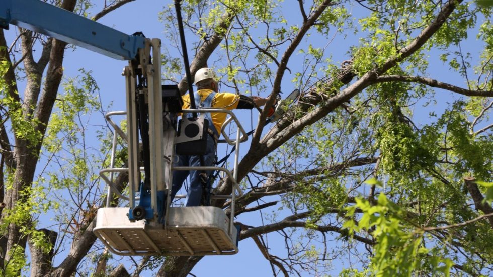 DR Serves OBU and Other OK Areas Affected by April 19 Tornadoes ...